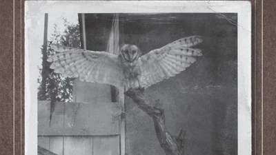 Discuss Everything About The Peculiar Children Wiki | Fandom