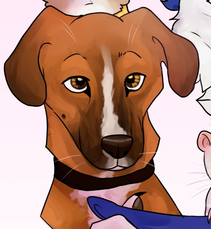 Austin Tex | Thepiratefox827 Wiki | Fandom