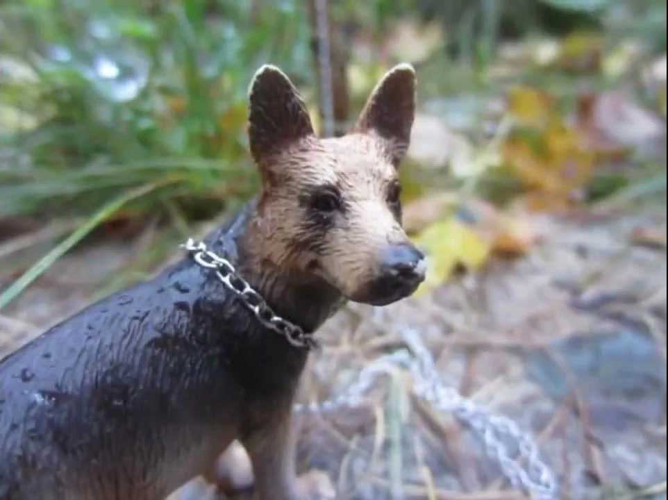 Lost Freedom (episode) | Thepiratefox827 Wiki | Fandom