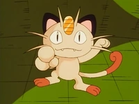 Meowth (Team Rocket) | The PokéFanon Wiki | Fandom