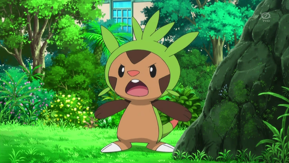 Chespin | THE POKEMON SHOW Wiki | Fandom