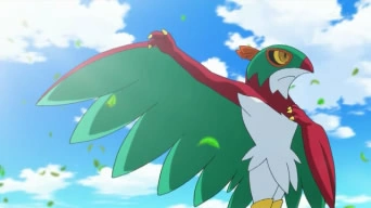 Hawlucha | THE POKEMON SHOW Wiki | Fandom