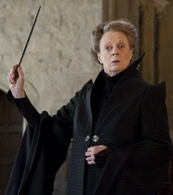 Transfiguration Professor | The Potterverse Experience Wiki | Fandom