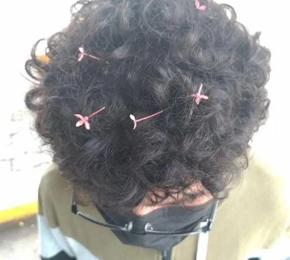 Josue | Wiki The Pous gang | Fandom