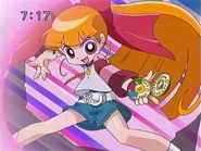 Blossom | The Powerpuff Girls Z Wiki | Fandom