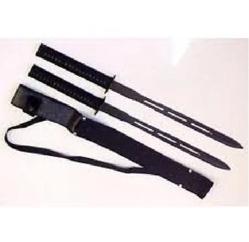 Aaron's swords | The Quads of Pain Field Guide Wiki | Fandom