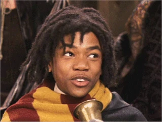 Lee Jordan | The Quidditch Wiki | Fandom