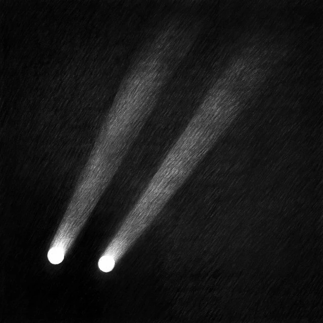 Bones | The Rasmus Wiki | Fandom