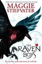 The Raven Boys | The Raven Boys Wiki | Fandom