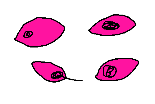 AE-110 | Ret rooem Wiki | Fandom