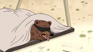 Death Bear | Regular Show Wiki | Fandom