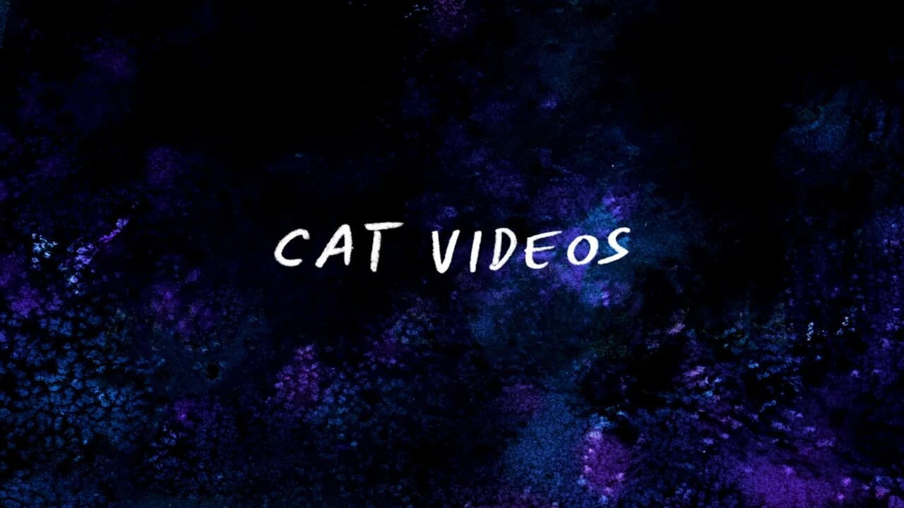 Cat Videos/Gallery | Regular Show Wiki | Fandom