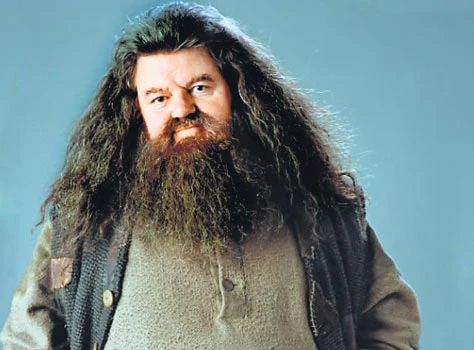 Hagrid | The Repliverse Saga Wiki | Fandom