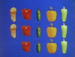 (2015-015) 10053 (01-15-2015) | Theretro Wikia | Fandom