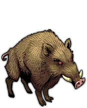 Wildschwein | Therian Saga Wikia | Fandom