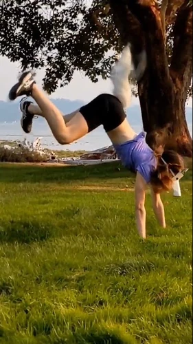 Quadrobics | Therianthropy | Fandom