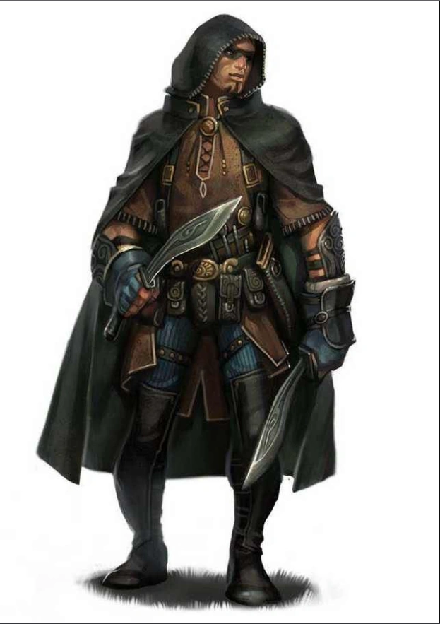 Rogue | The Rift Wiki | Fandom