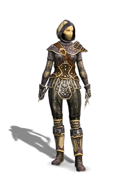 Assassin | The Rift Realm Wiki | Fandom