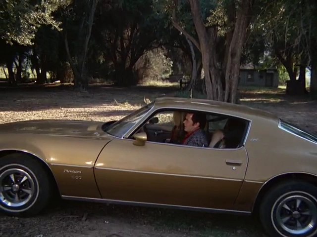 The Rockford Files 1974 Pontiac Firebird Esprit Top Sellers | innoem ...