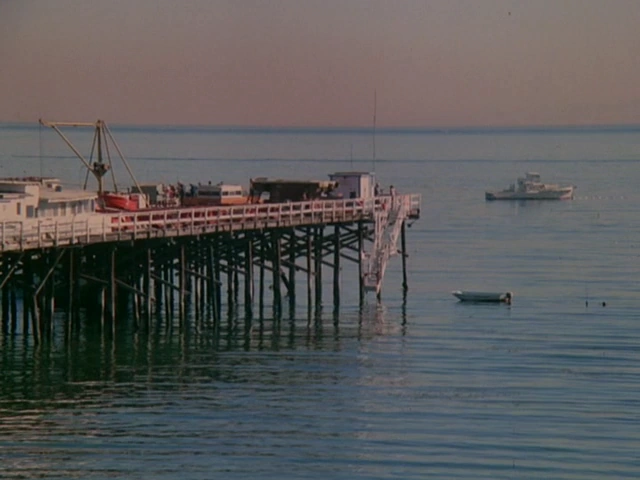 A Portrait of Elizabeth | The Rockford Files Wiki | Fandom