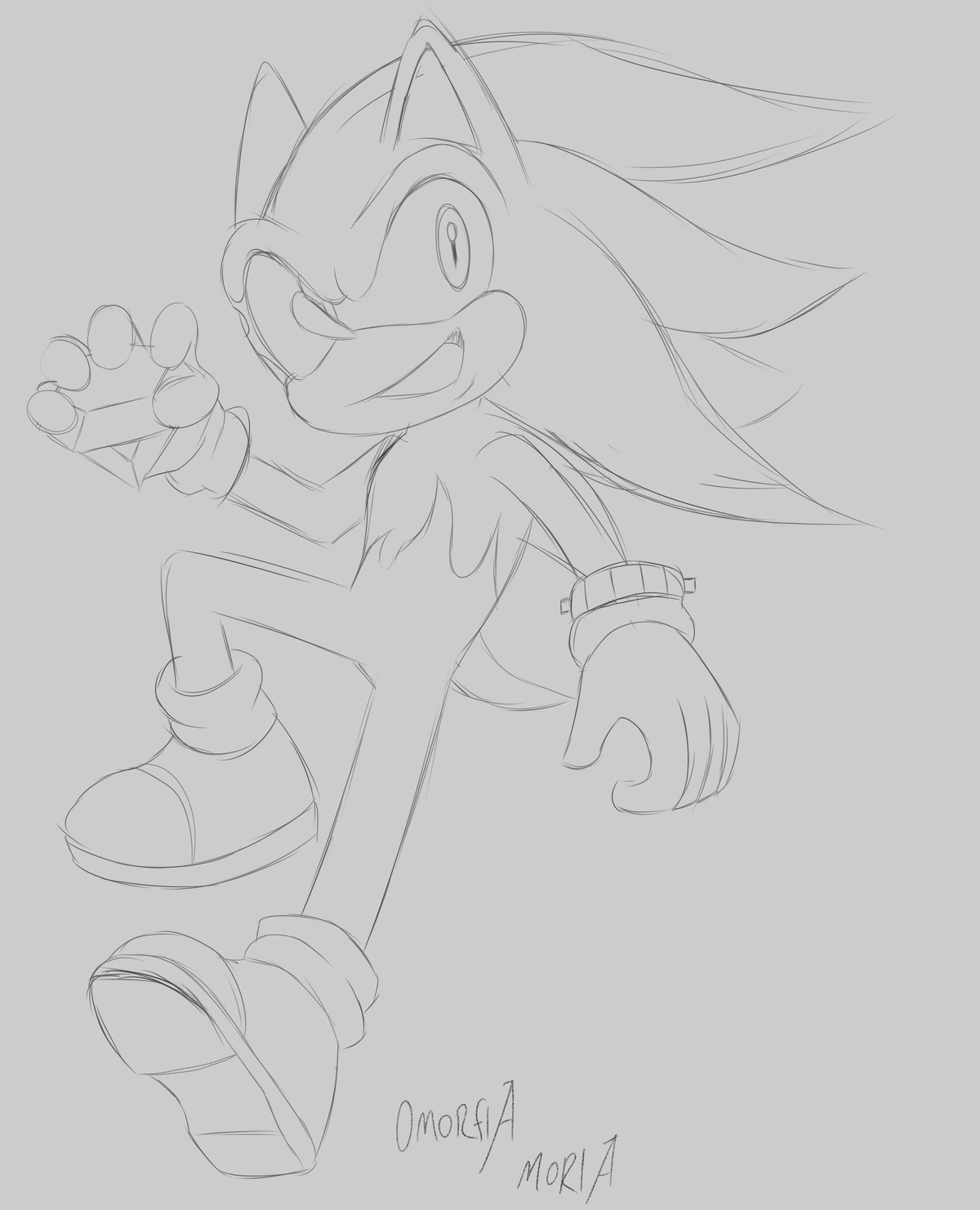 Spectrum The Hedgehog/Gallery | The Rookie Chronicles Wiki | Fandom