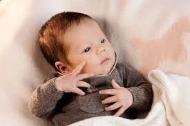 Prince Vincent of Denmark | The Royal Families Wiki | Fandom