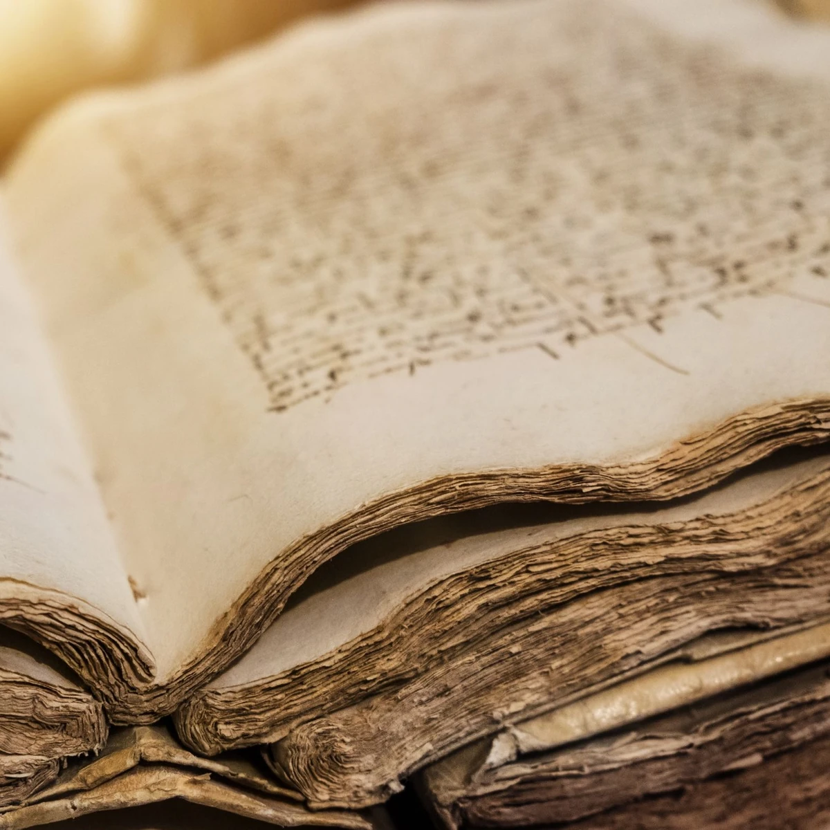 Category:Terminology | Demon Cycle Wiki | Fandom