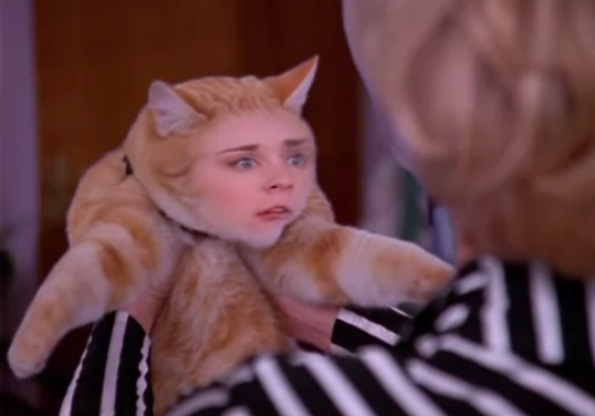 Cat Showdown | Thesabrinatheteenagewitch Wiki | Fandom