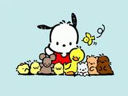 Pochacco | The Sanrio Wiki | Fandom