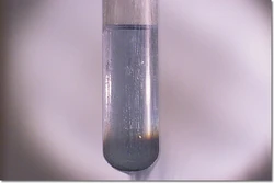 Oxygen | The Science Database Wiki | Fandom