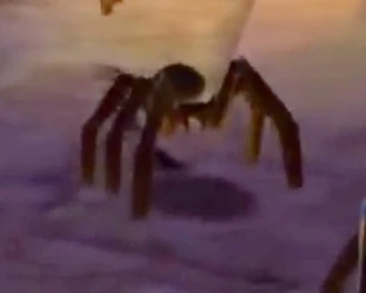 El Muncho Spider | Scooby-Doo Wikia | Fandom