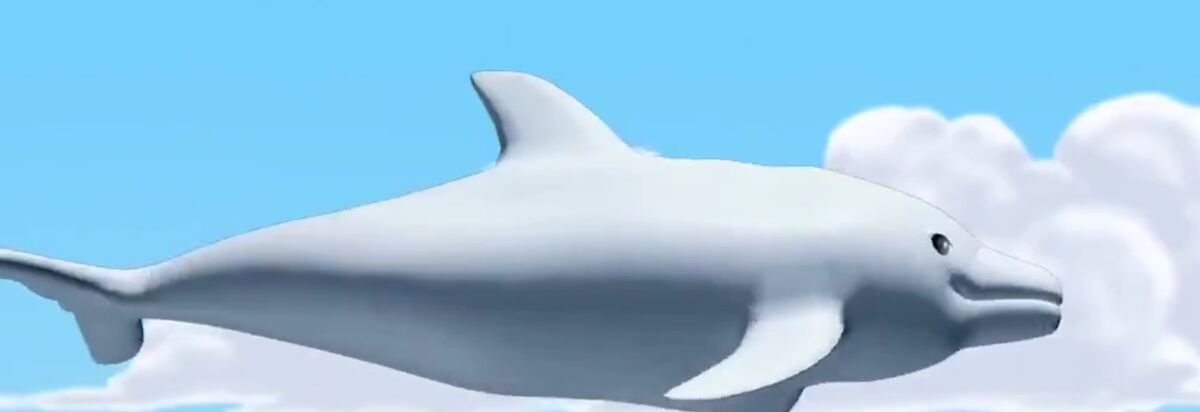 Dolphins (Aloha, Scooby-Doo!) | Scooby-Doo Wikia | Fandom Dolphins (Aloha, Scooby-Doo!) | Scooby-Doo Wikia | Fandom