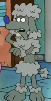 Noodle | The Secret Files of the Spy Dogs Wiki | Fandom