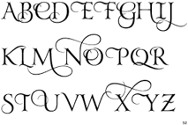 The Selection Series | The Selection Wiki | Fandom