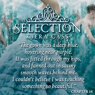 The Selection (book) | The Selection Wiki | Fandom