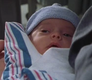 Lee Carson Sofer | The Shield Wiki | Fandom