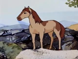 Category:Characters | The Silver Brumby Wiki | Fandom