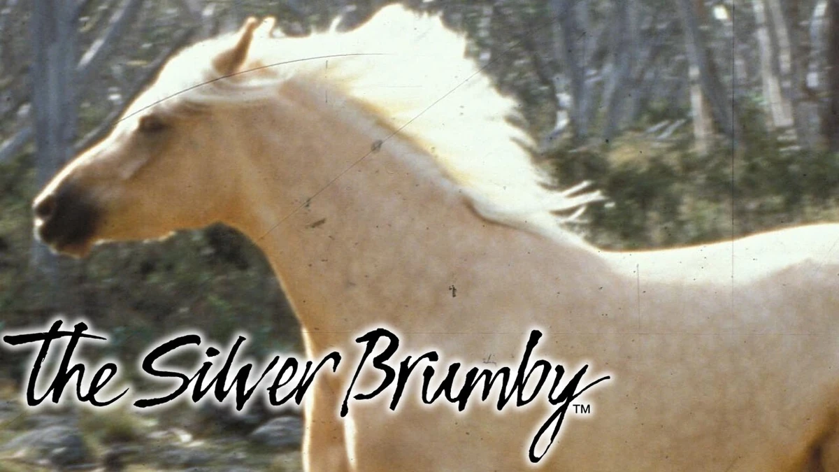 Thowra/Gallery | The Silver Brumby Wiki | Fandom
