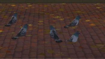 Pigeon | The Sims 4: Meme House Wiki | Fandom