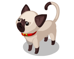 Siamese | The Sims Social Wiki | Fandom