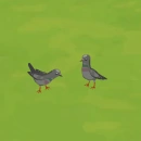Pigeons | The Sims Social Wiki | Fandom