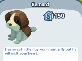 Bernard | The Sims Social Wiki | Fandom