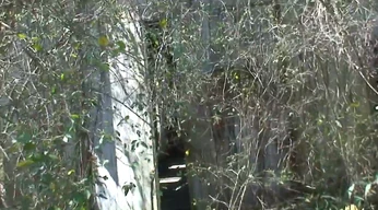 Unknown Building | The Slender Man Wiki | Fandom