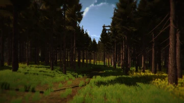 slenderman forest background