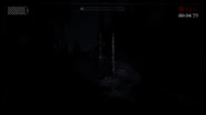 Forest | The Slender Man Wiki | Fandom
