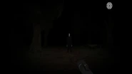 Slender's Woods | The Slender Man Wiki | Fandom