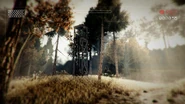 Forest | The Slender Man Wiki | Fandom