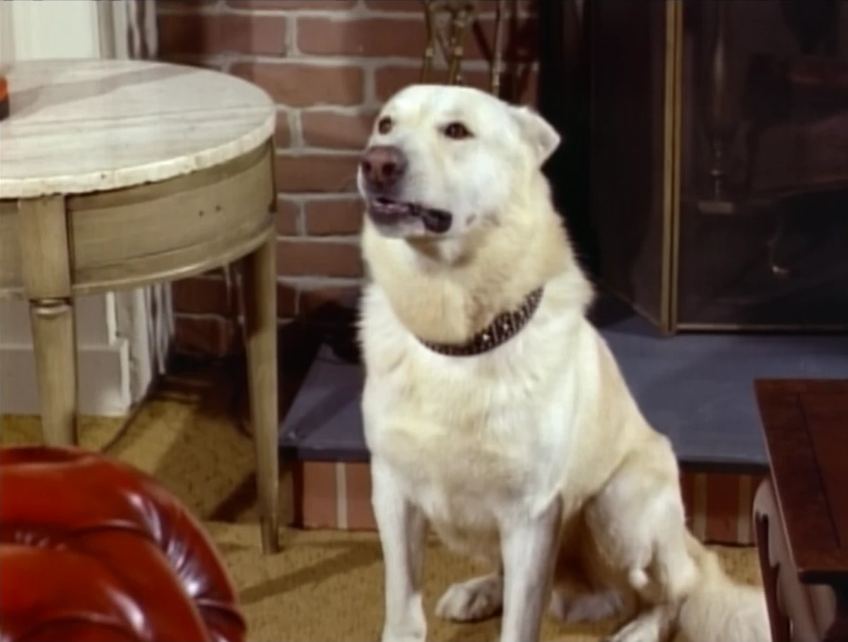 Colonel | The Smith Family Wiki | Fandom