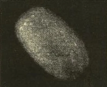 5D/Brorsen | The Solar System Wiki | Fandom