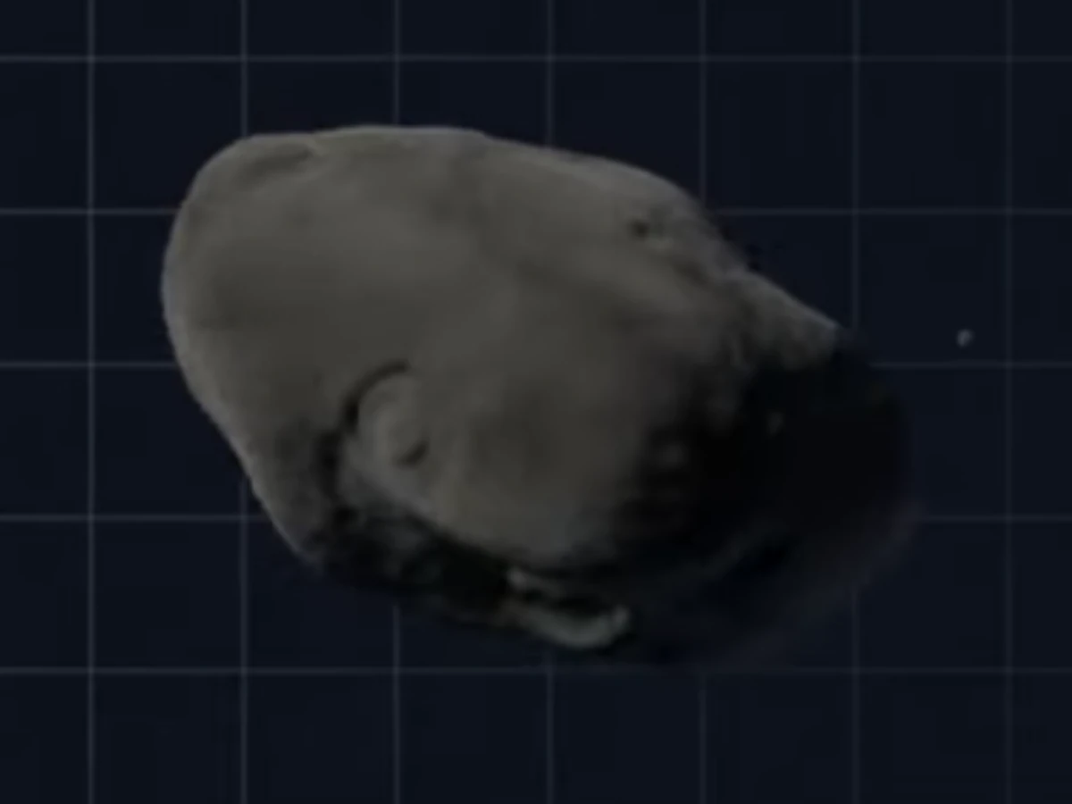 130 Elektra | The Solar System Wiki | Fandom